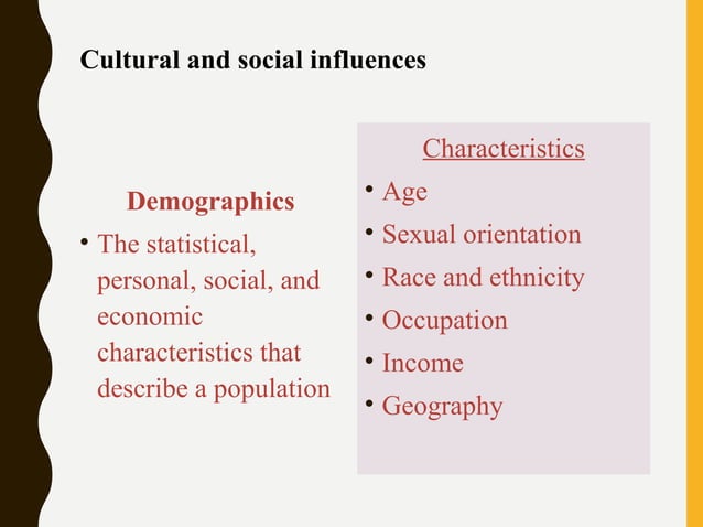 Consumer Audience | PPT