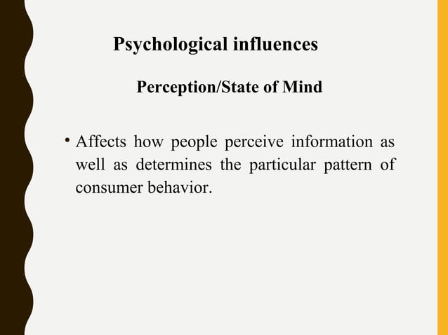 Consumer Audience | PPT