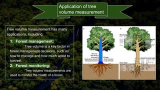 volume measurment of tree for forestry purposes | PDF