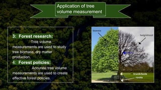 volume measurment of tree for forestry purposes | PDF
