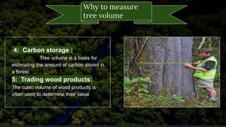 volume measurment of tree for forestry purposes | PDF