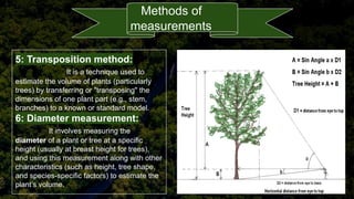 volume measurment of tree for forestry purposes | PDF