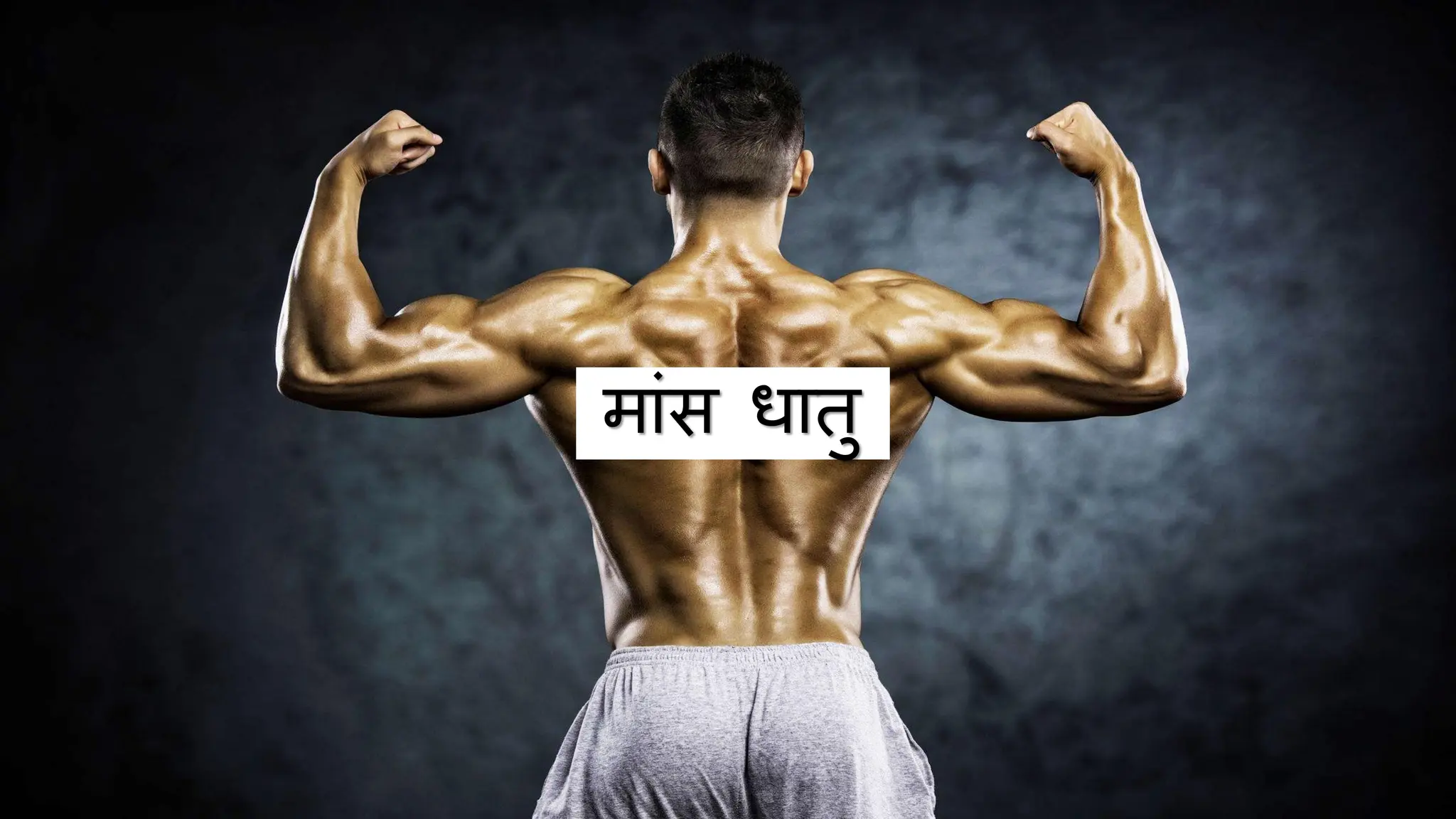 Ayurvedic aspect -mamsa dhatu with modern corelation | PDF