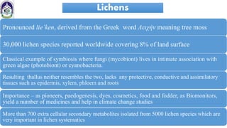 LICHENS AND HUMAN WELFARE | PPT