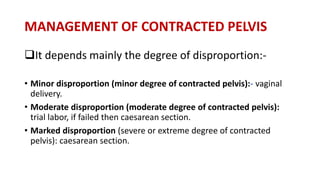 Contracted pelvis | PPTX
