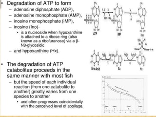 Mamun :AUTOLYSIS IN FISH | PPT