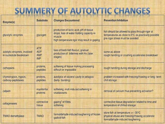 Mamun :AUTOLYSIS IN FISH | PPT