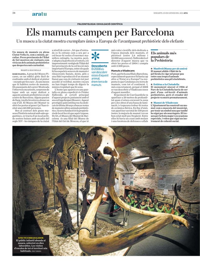Mamuts | PDF
