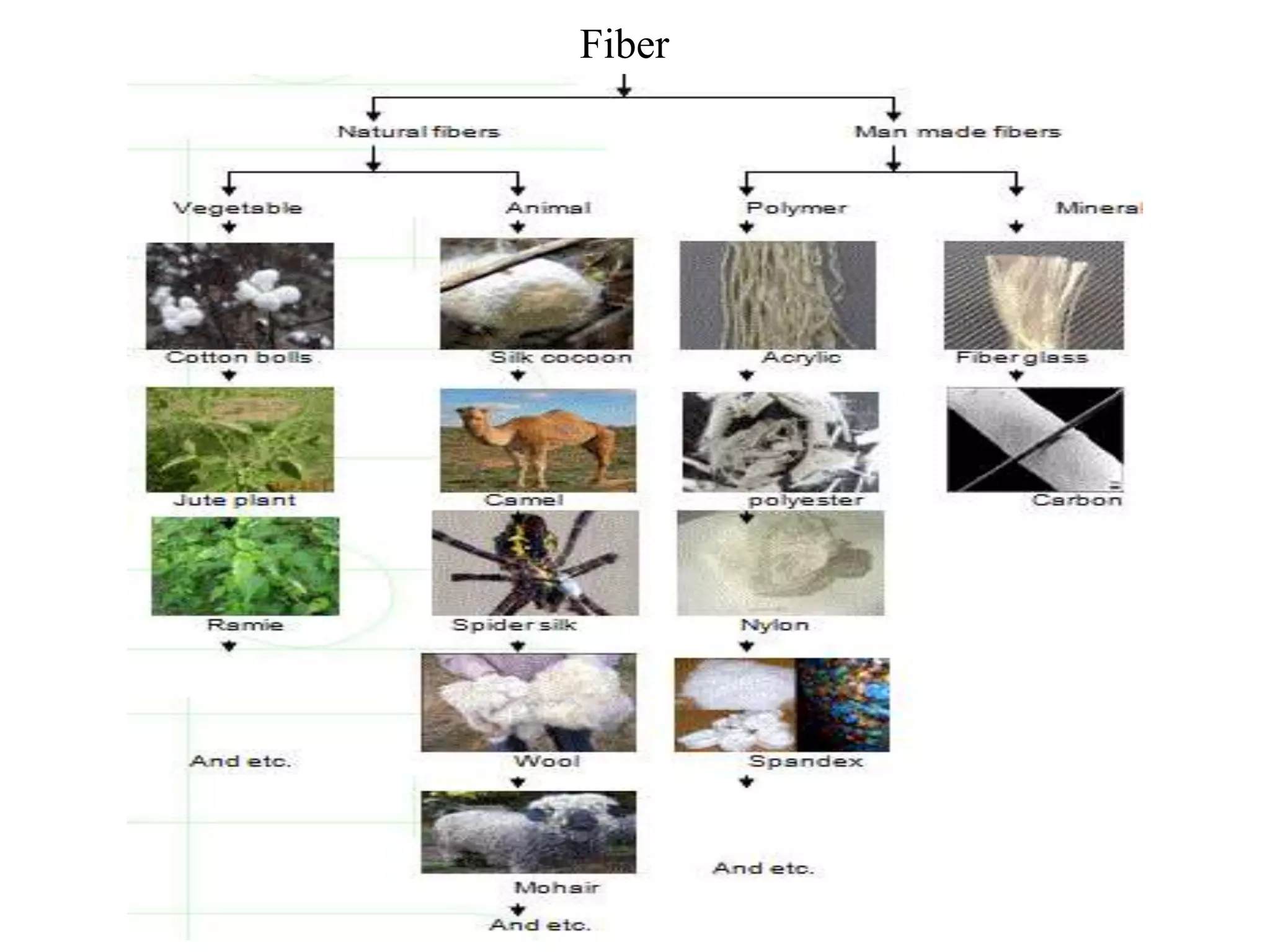 Man made fiber | PPTX