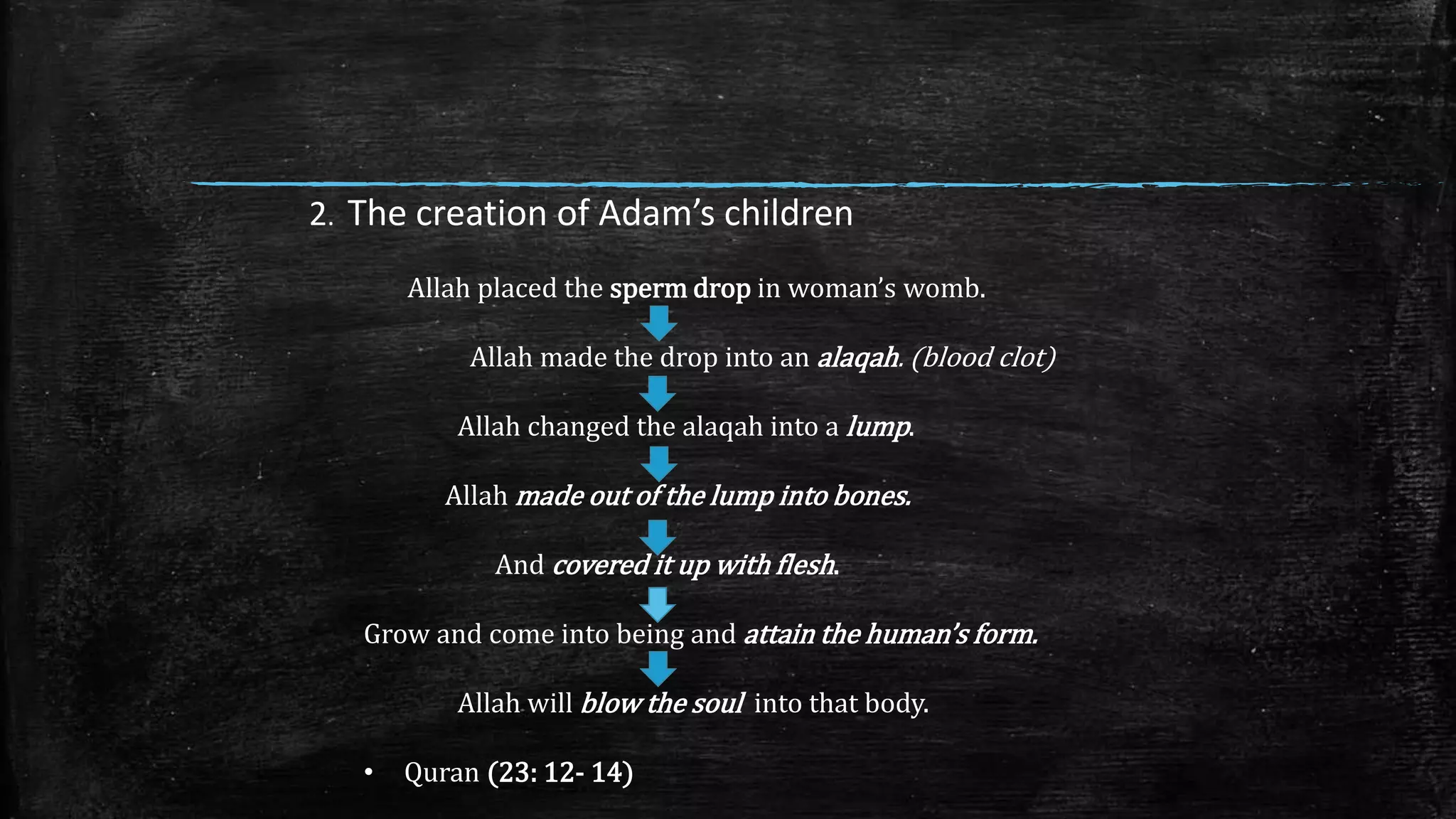 The Islamic Worldview (MAN) | PPT