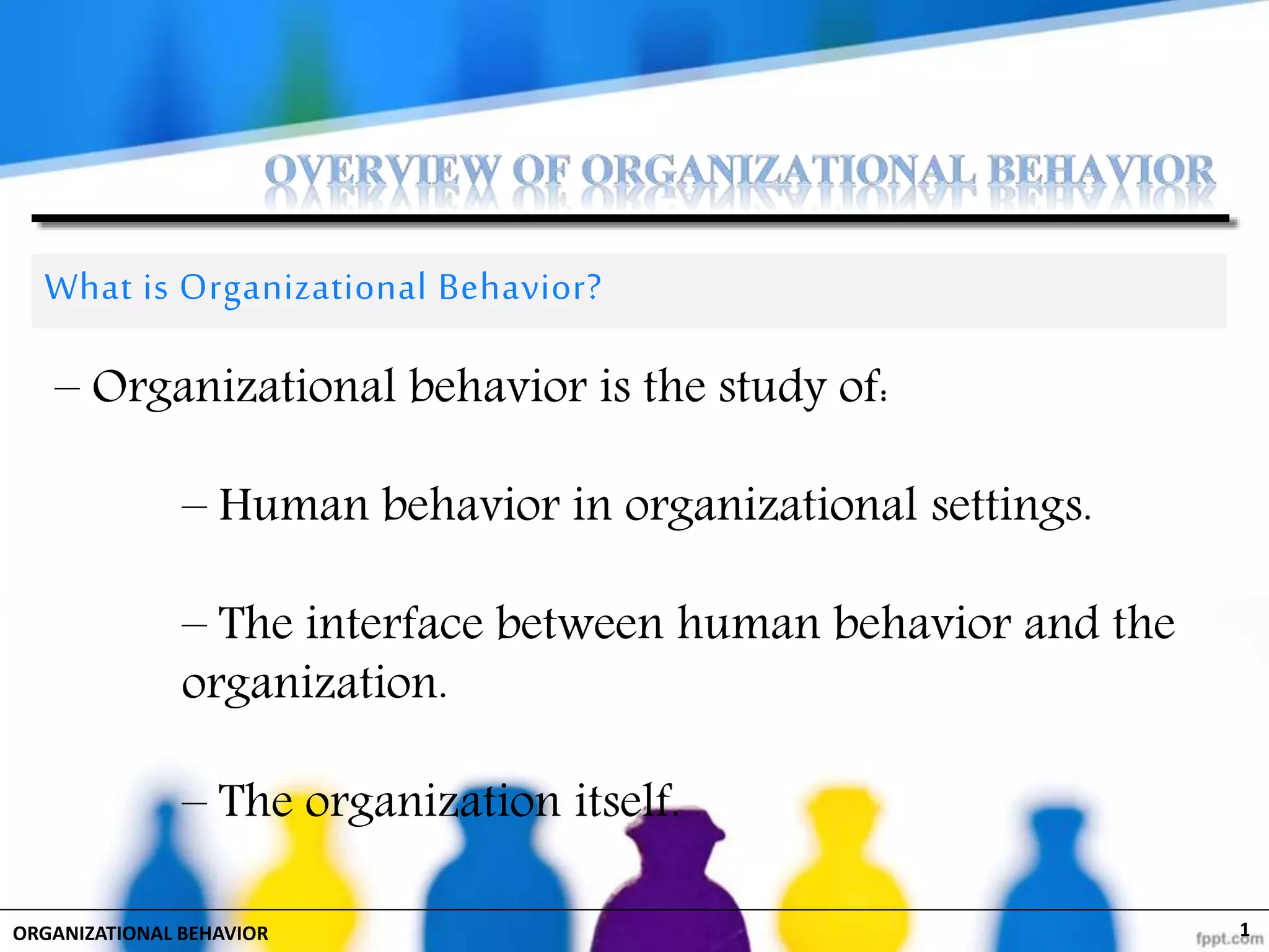 Overview of Organizational Behavior | PPTX