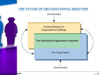 Overview of Organizational Behavior | PPTX