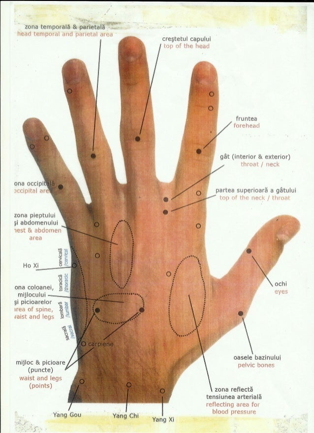 Mana stanga exterior