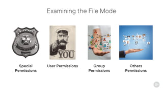 manage-directory-permissions-for-collaboration-slides.pdf
