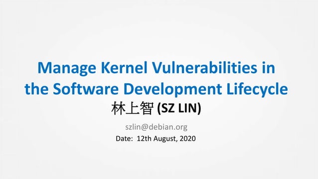 Manage kernel vulnerabilities in the software development lifecycle ...