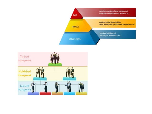 Levels of Management | PPTX | Executive Leadership & Management | Business
