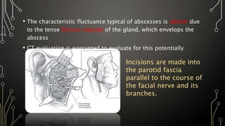 Management salivary gland disease .pptx