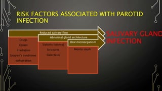 Management salivary gland disease .pptx