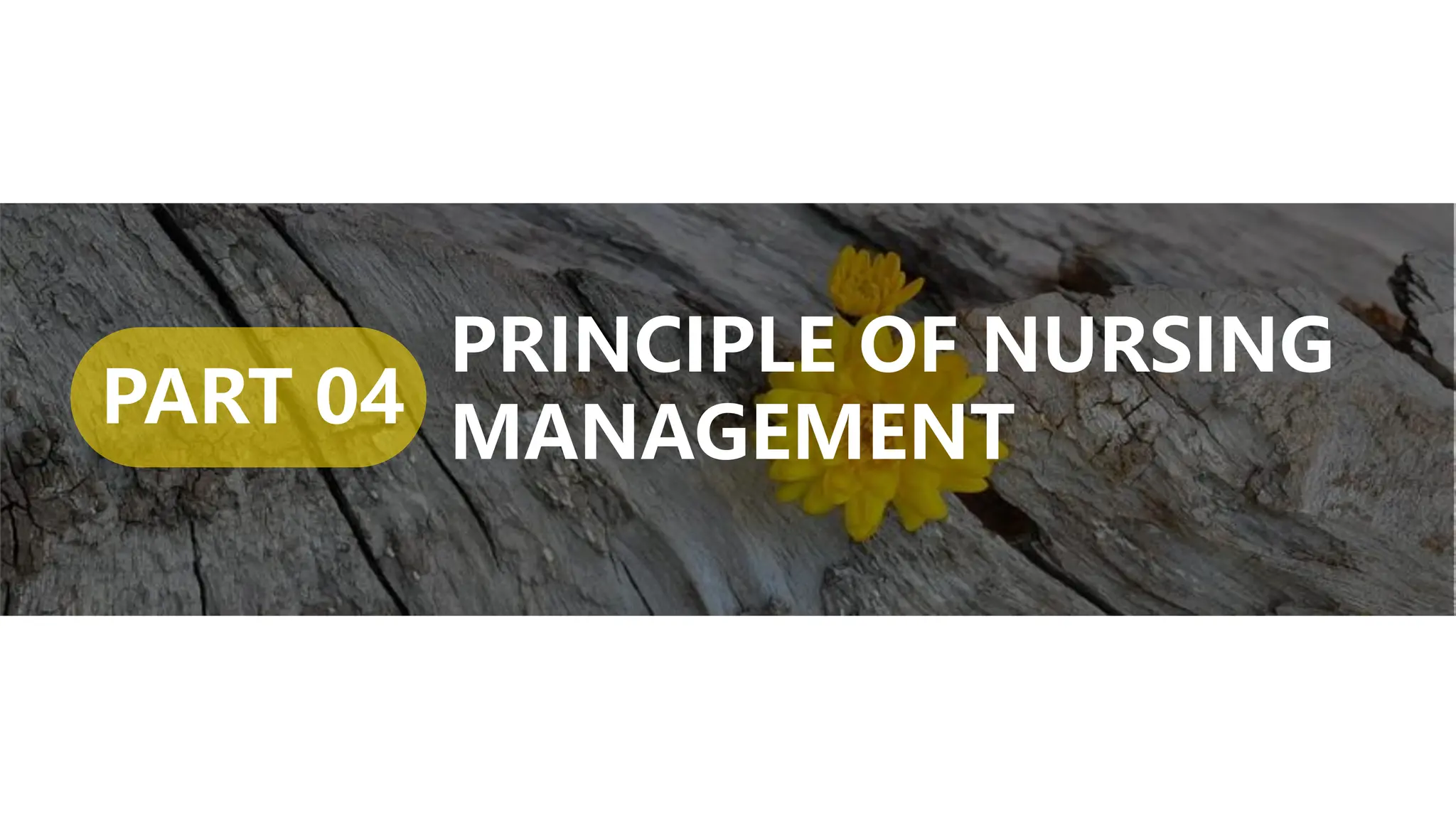 Introduction of management to nursing... | PPTX