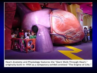 Management-of-CAD.ppt | Heart and Cardiovascular Diseases | Diseases ...