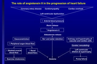 Management Of Chf | PPT