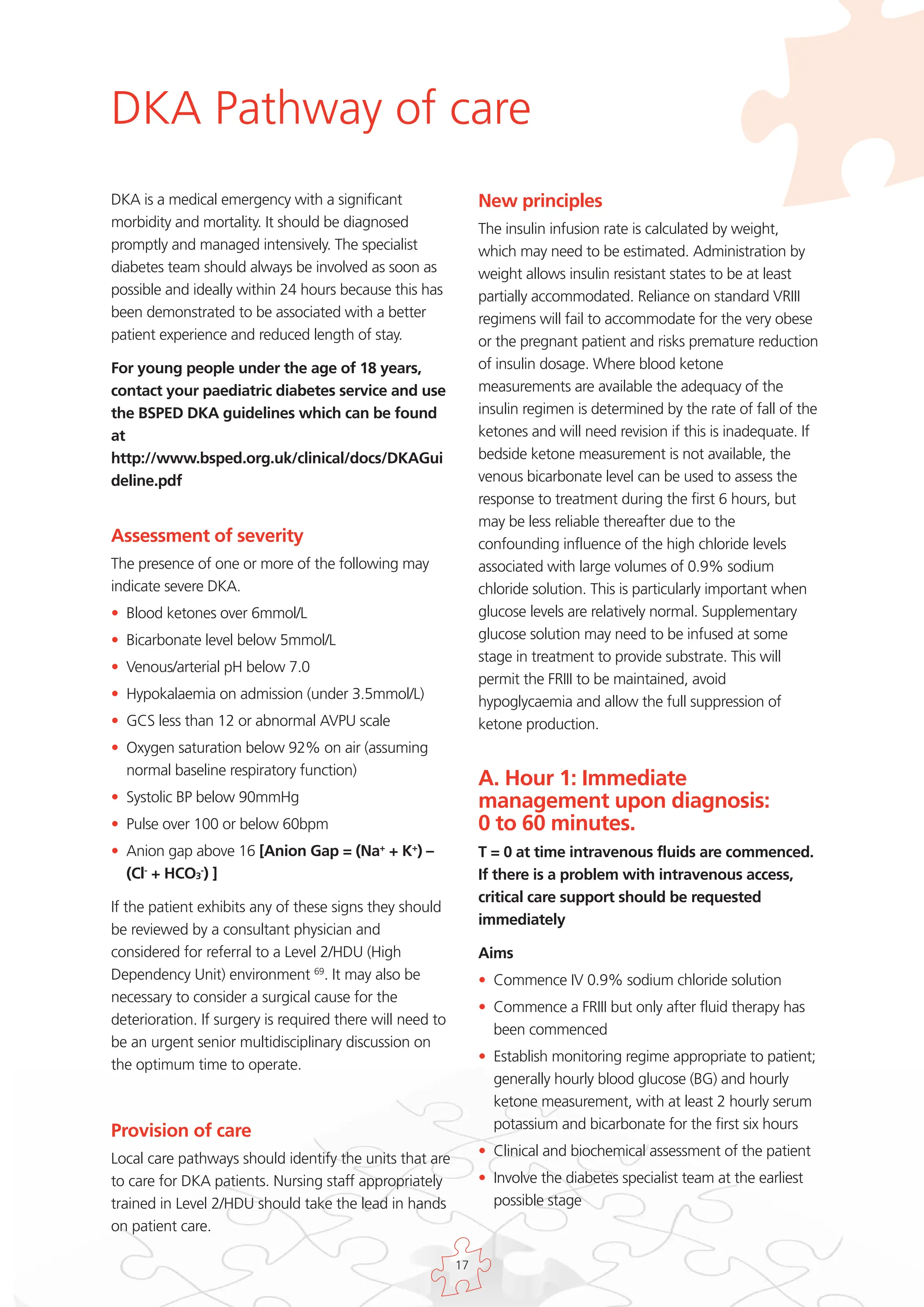 Management of Diabetic Ketoacidosis DKA 2013 Guidelines.pdf