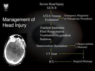Management Of High I C P And Traumatic Brain Injury | PPT