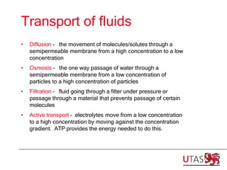 Management-of-IV-Fluids-and-Electrolyte-Balance-slides.pptx