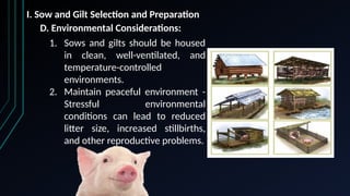 ManagementofSowandgiltatbreedingtime.Analyn-1.pptx