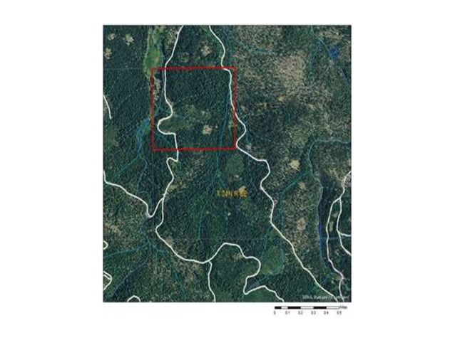 Forest Management Plan | PPTX