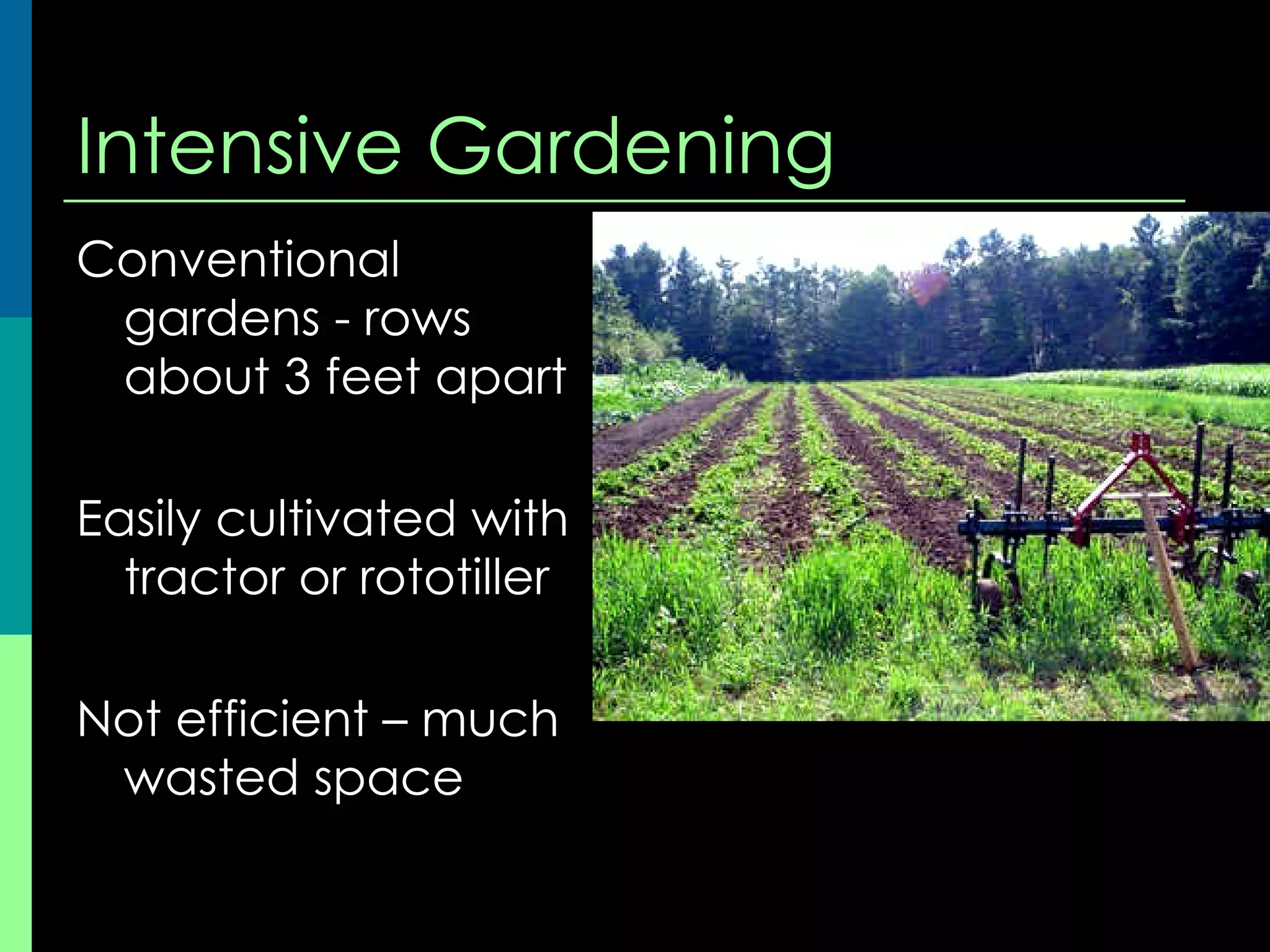 Management succession, interplanting | PPT