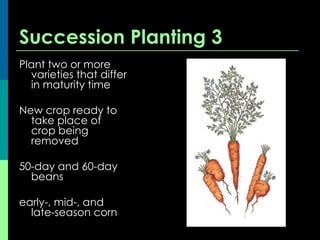 Management succession, interplanting | PPT