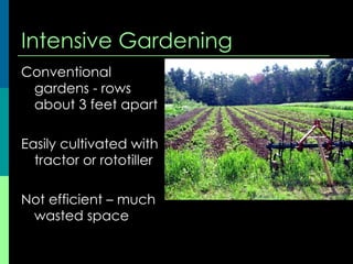 Management succession, interplanting | PPT