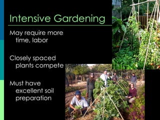 Management succession, interplanting | PPT