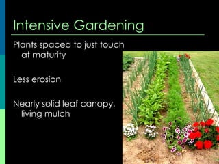 Management succession, interplanting | PPT