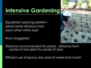 Management succession, interplanting | PPT