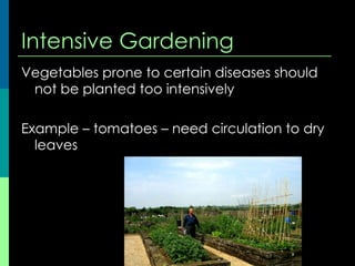 Management succession, interplanting | PPT