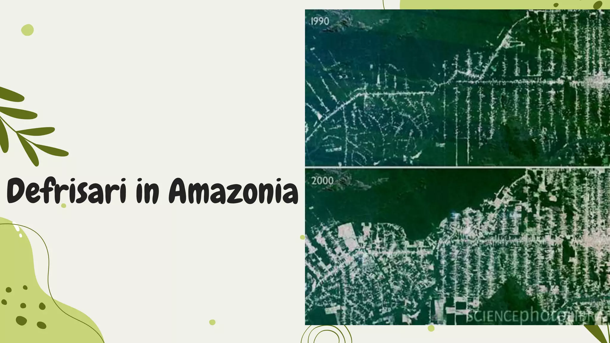 Management-ul mediului inconjurator.pptx