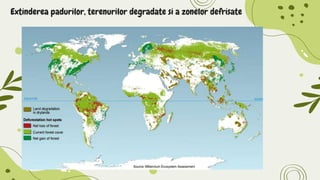 Management-ul mediului inconjurator.pptx