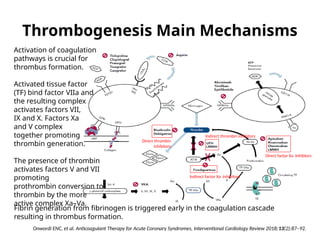 Management Acute Coronary Syndrome 2023.pptx