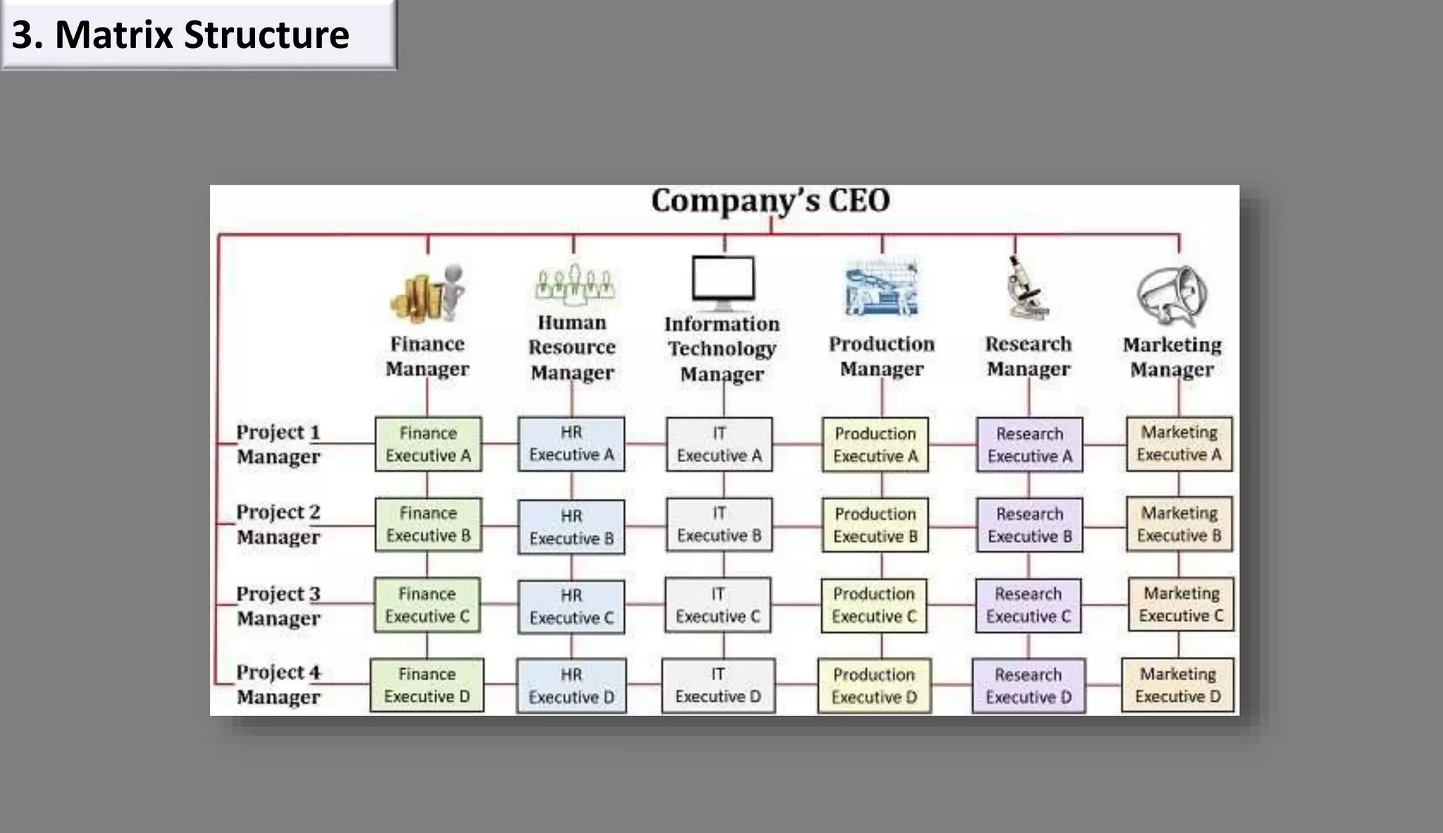 Management and organizational structure | PPTX