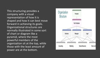Management and organizational structure | PPTX