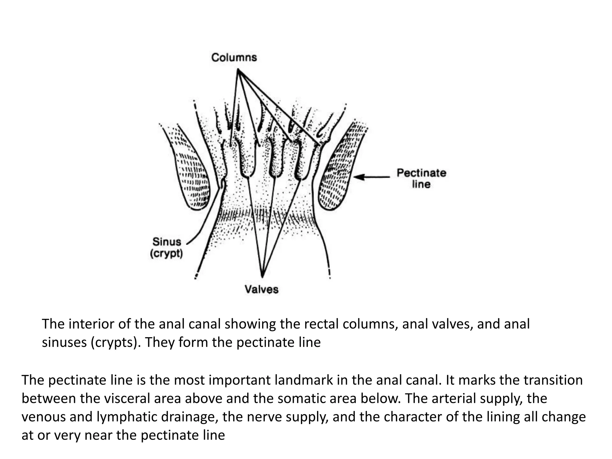 Management and surgical procedures of Hirschsprung disease | PPTX