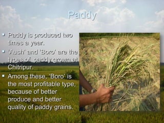 Transfer and Management of Rural Technology II | PPT