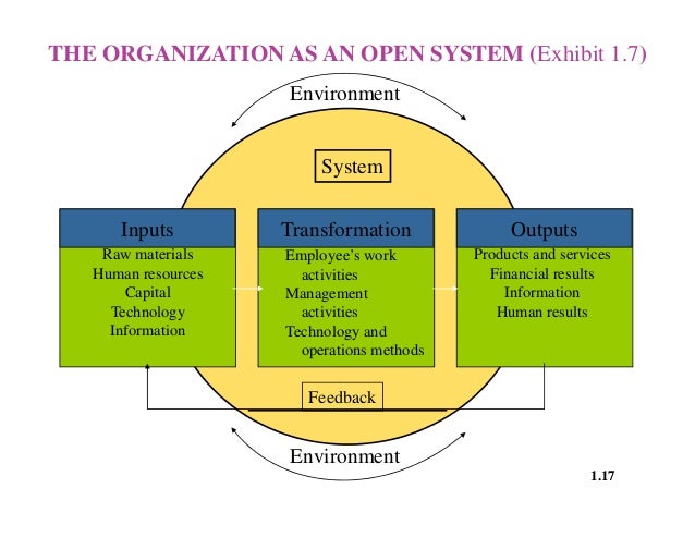 Introduction to Management by shas production