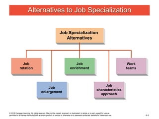 Management chapter 6 organization structure.pptx
