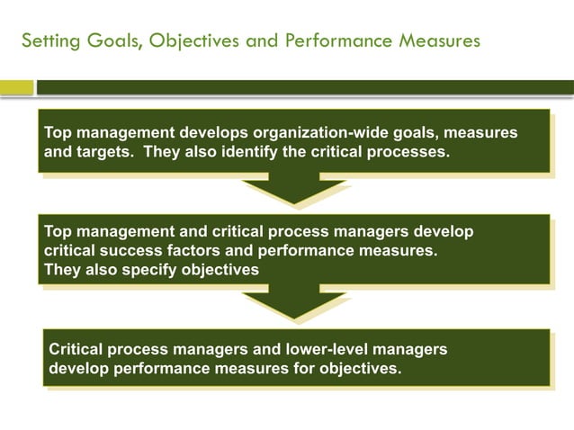 Management Control System (Principles of Managment).pptx