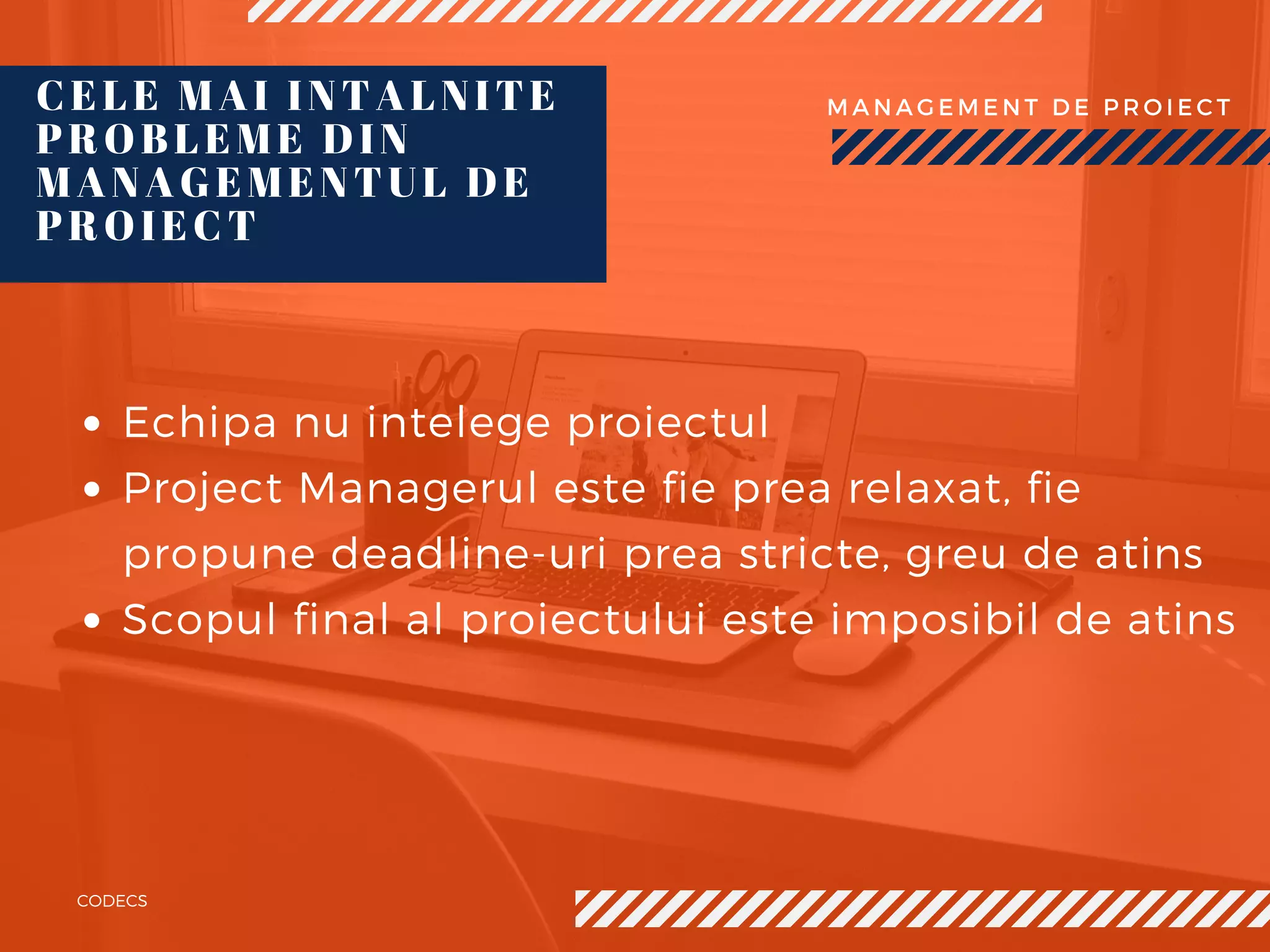 Management de proiect de succes | PDF