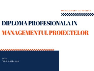 Management de proiect de succes | PDF