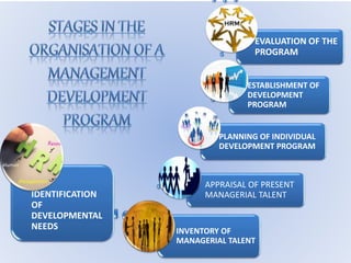 Management development programs | PPTX | Business | Business and Finance